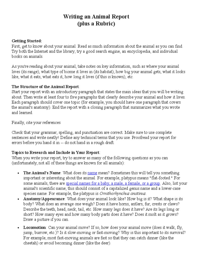 Writing An Animal Report | PDF | Adaptation | Wasp