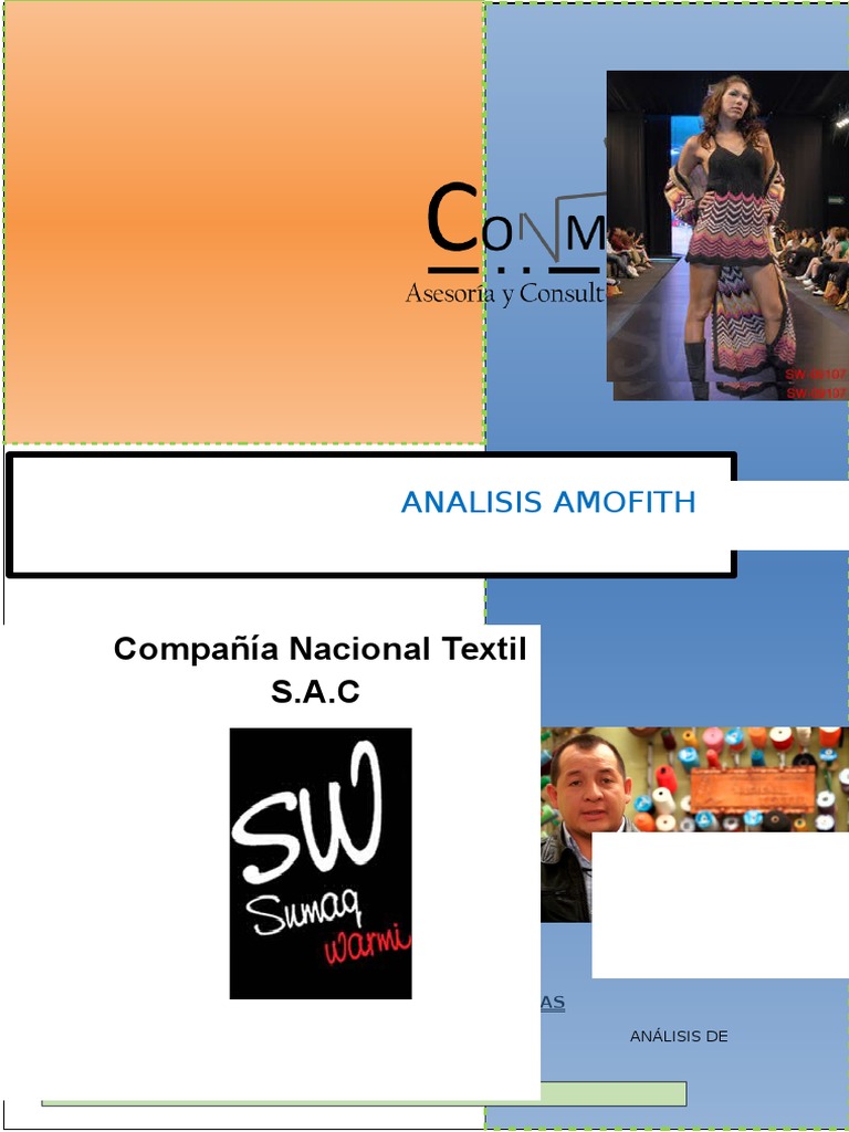 Informe Amofith | PDF | Marketing | Inventario