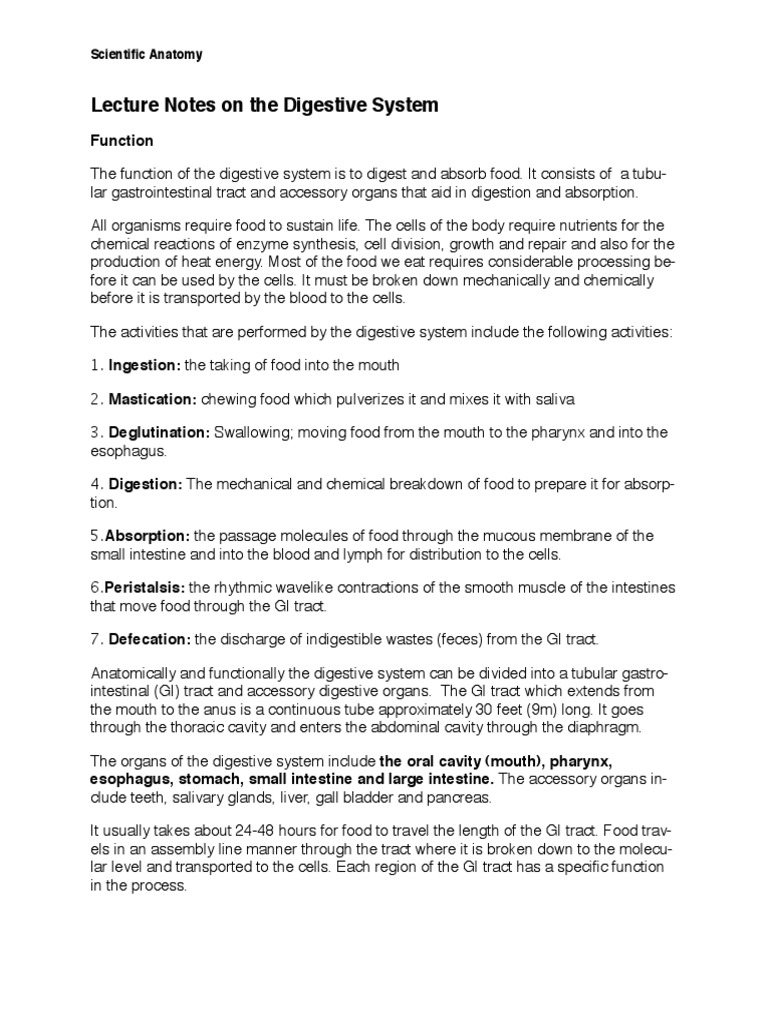 Digestive System Overview and Functions | PDF | Gastrointestinal Tract ...