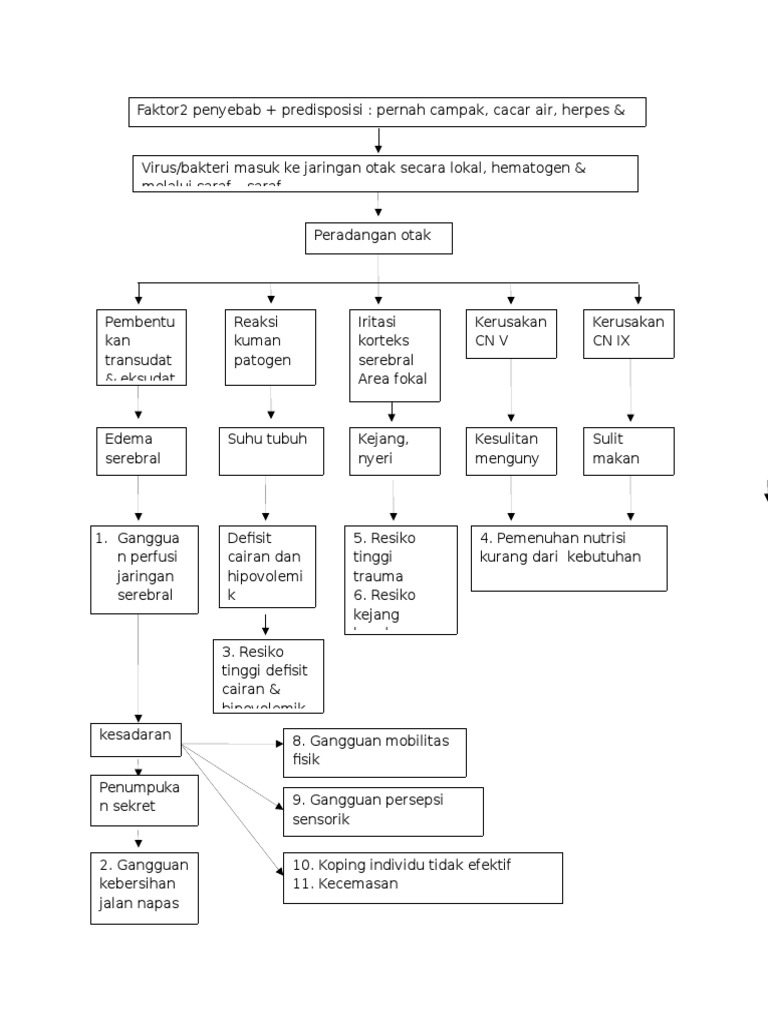 Patofisiologi Encephalitis | PDF