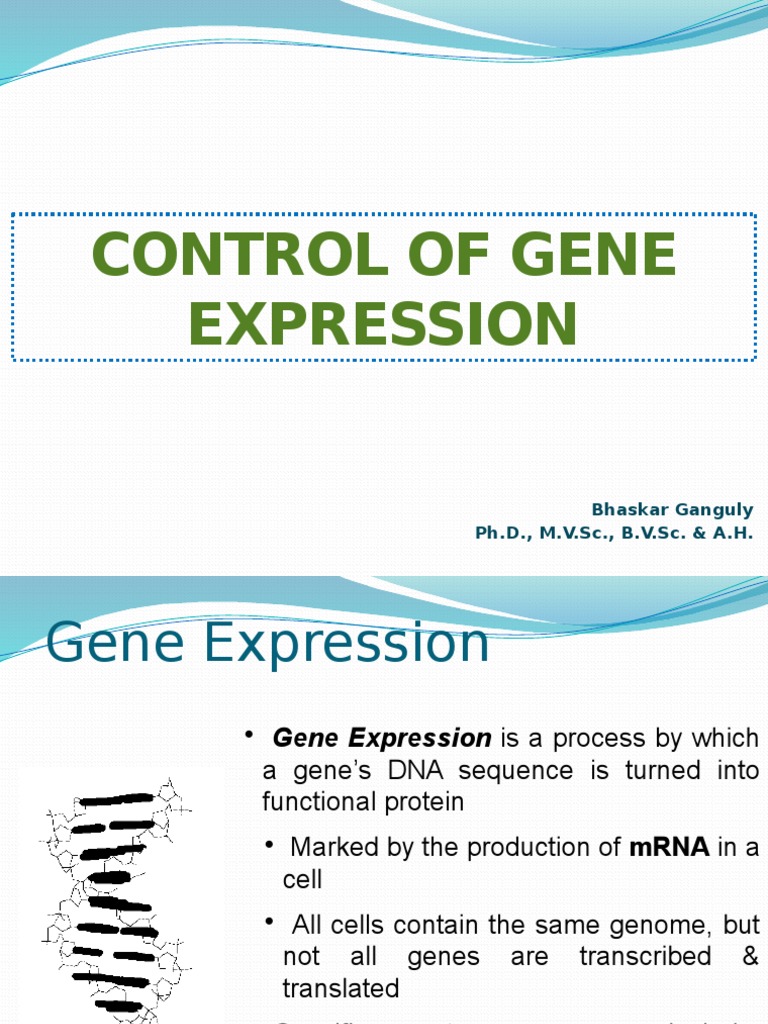 Gene Expression and Regulation Overview | PDF | Operon | Regulation Of ...