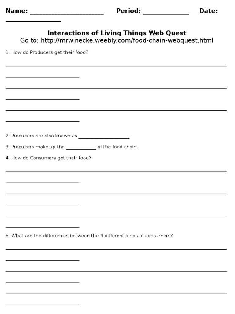 Food Chain and Web Quest Worksheet | PDF