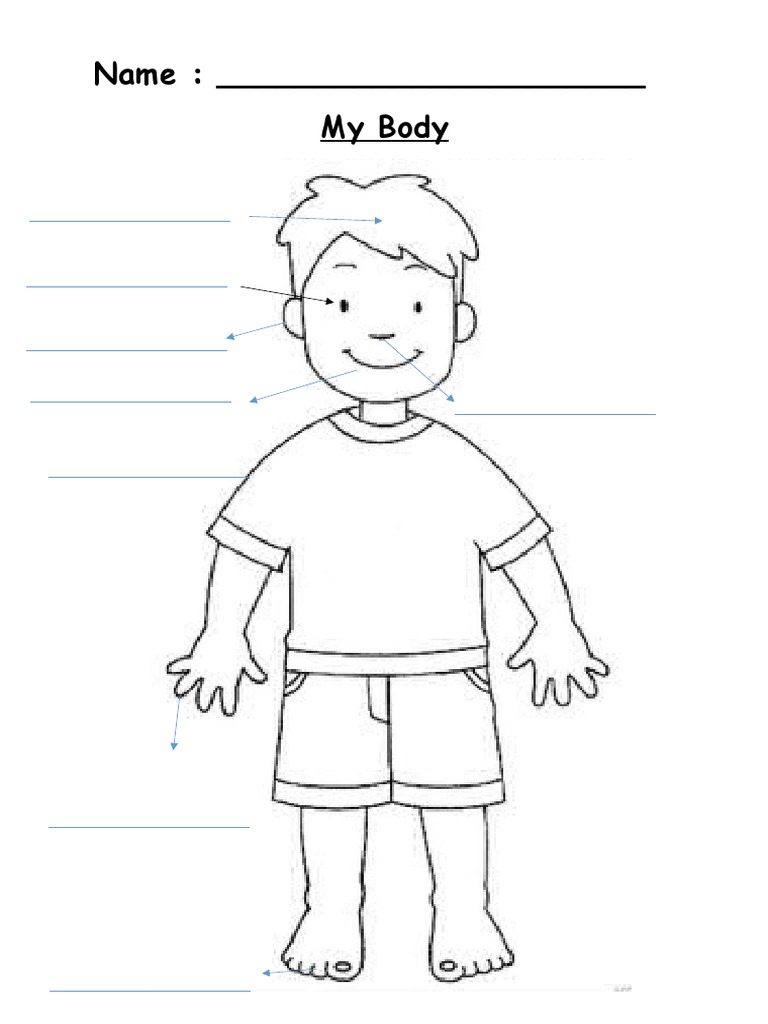 Name: - My Body | PDF | Career & Growth