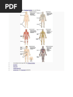 Body Systems Matching Worksheet | PDF | Human Body | Animal Anatomy