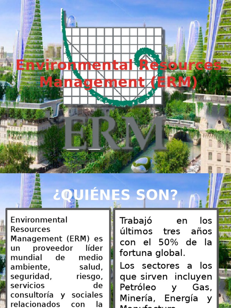 ERM: Consultoría Ambiental Global | PDF | Liderazgo | Bienestar