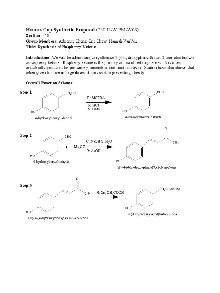 Raspberry Ketone Synthesis Proposal | PDF | Tetrahydrofuran | Sodium ...