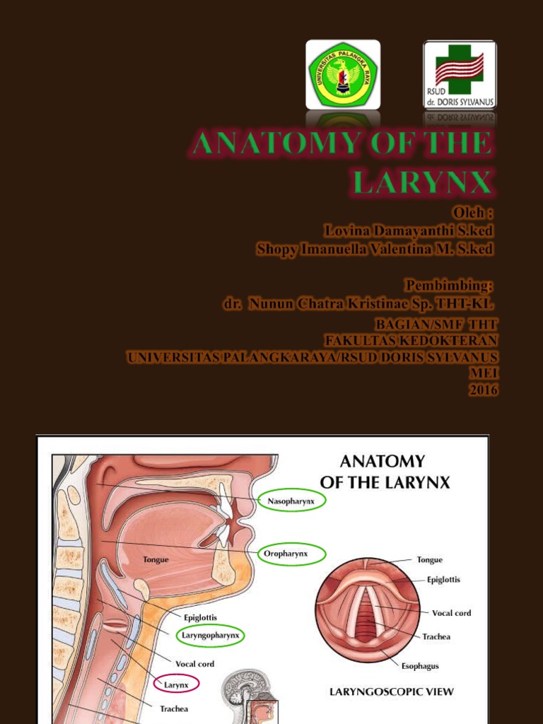 Anatomi Laring: Struktur dan Fungsi | PDF