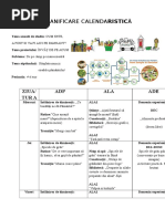 Planificare Scufita Rosie | PDF