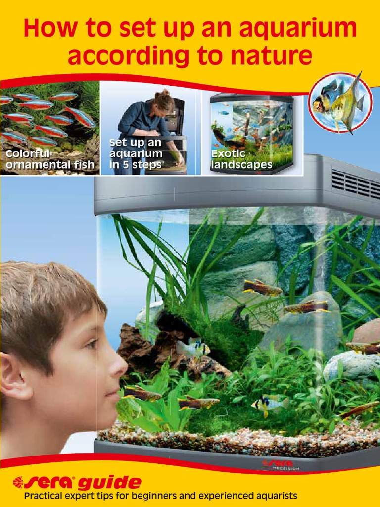 Set up an aquarium in 5 easy steps | PDF | Aquarium | Filtration