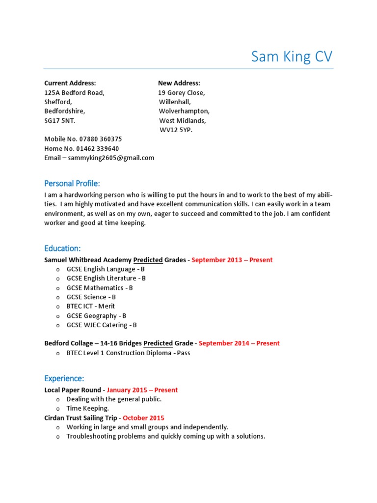 Sam King CV | PDF