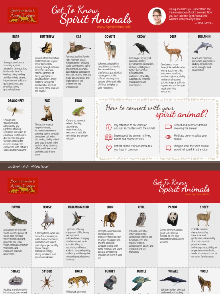 Discover Your Spirit Animal | PDF | Anger | Dream