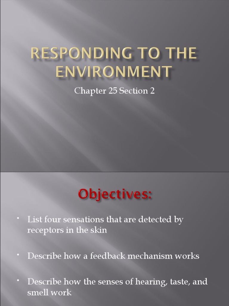 Responding To The Environment CH 25.2 7th | PDF | Eye | Senses