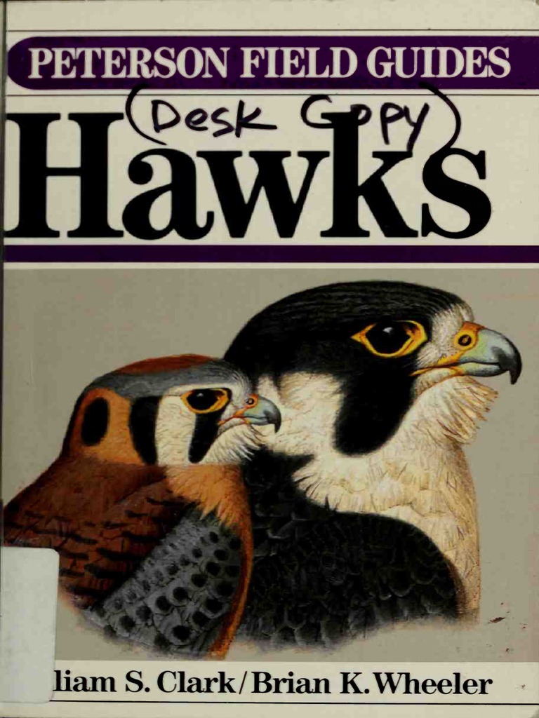 Peterson Field Guides: Hawks | PDF | Tetrapods | Birds Of Prey
