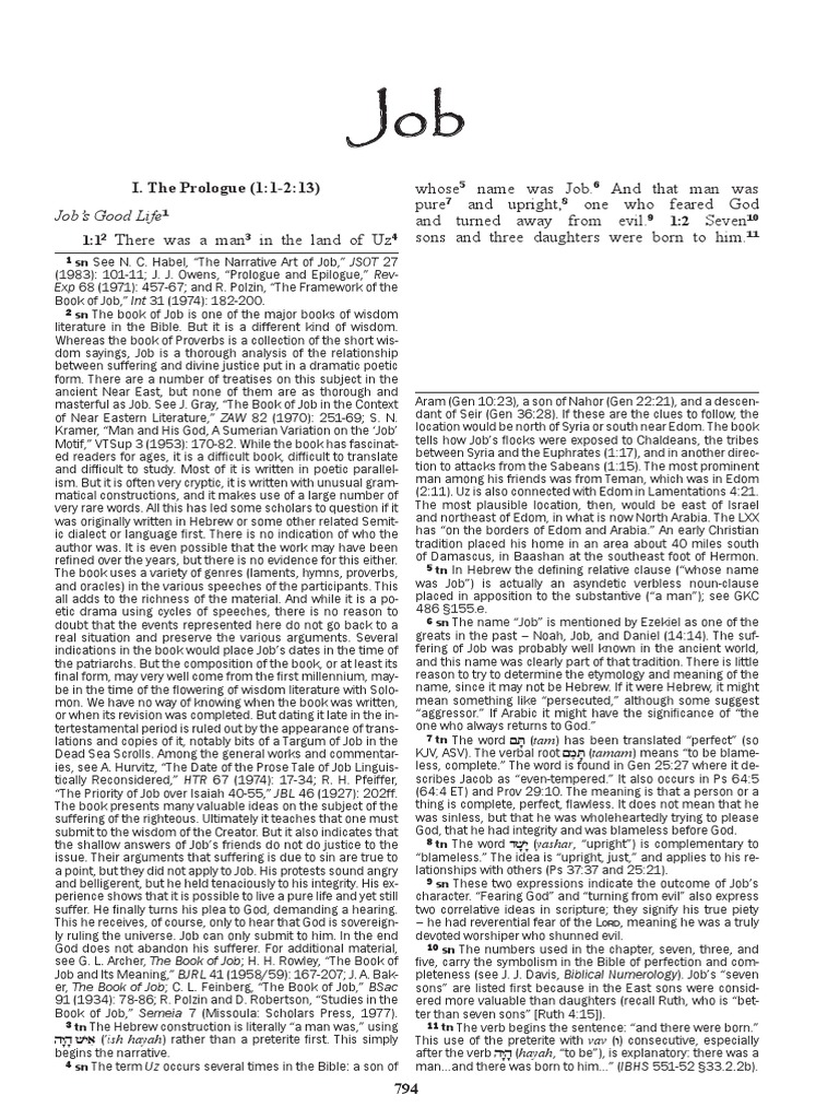 The Book of Job | PDF | Book Of Job | Satan