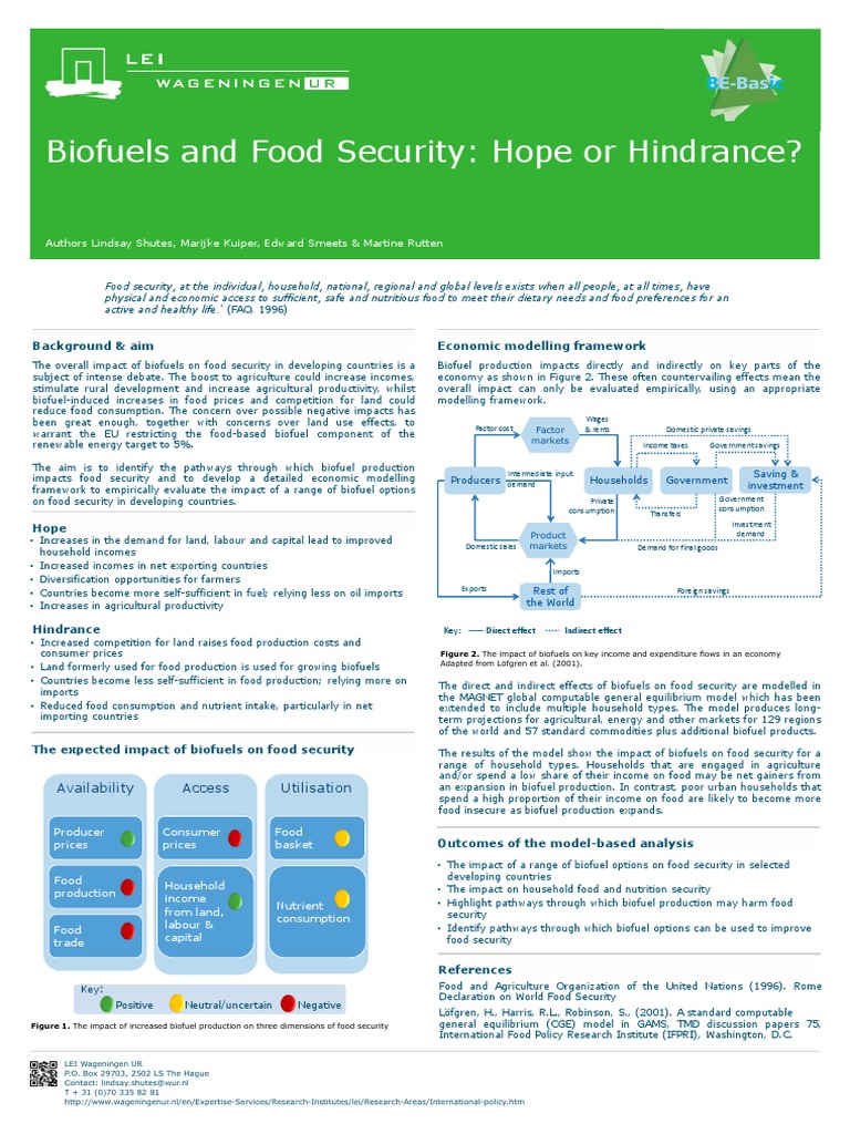 Biofuels and Food Security: Hope or Hindrance?: Authors Lindsay Shutes ...