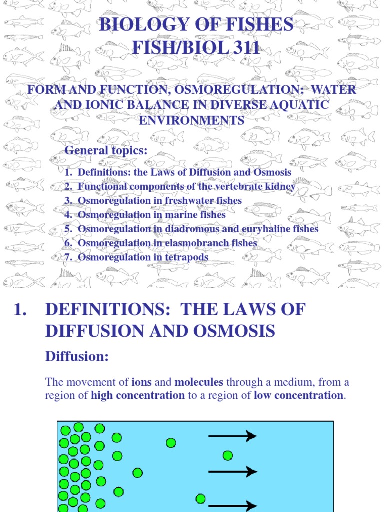 Osmoregulation in Fish Biology | PDF | Kidney | Science
