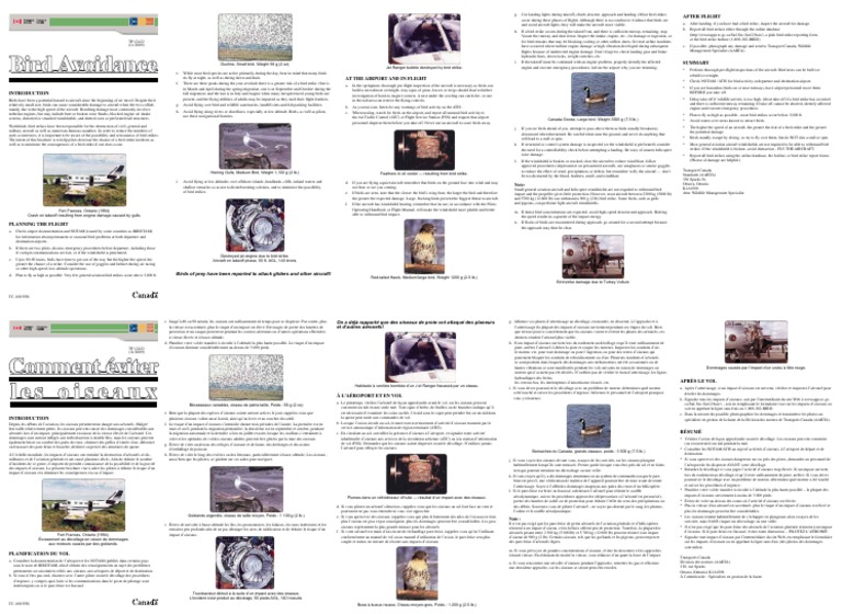 Bird Avoidance Brochure PDF | PDF | Aircraft | Takeoff