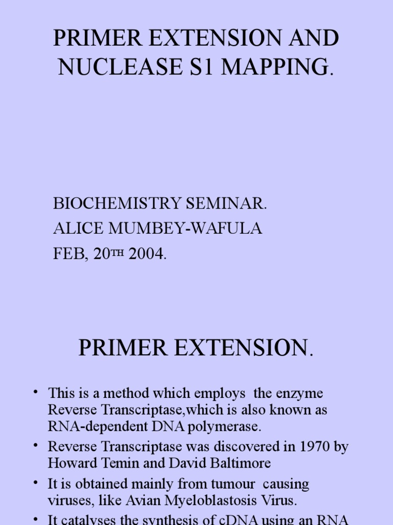 Primer Extension, and Nuclease Mapping | PDF | Primer (Molecular ...