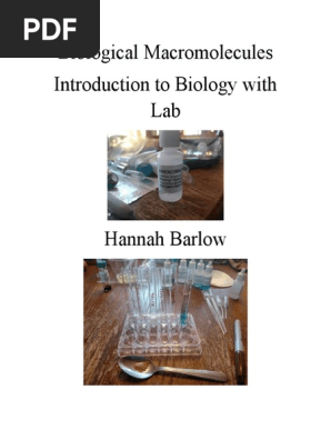 Lab 2biological Macromolecules 1pdf Course Hero