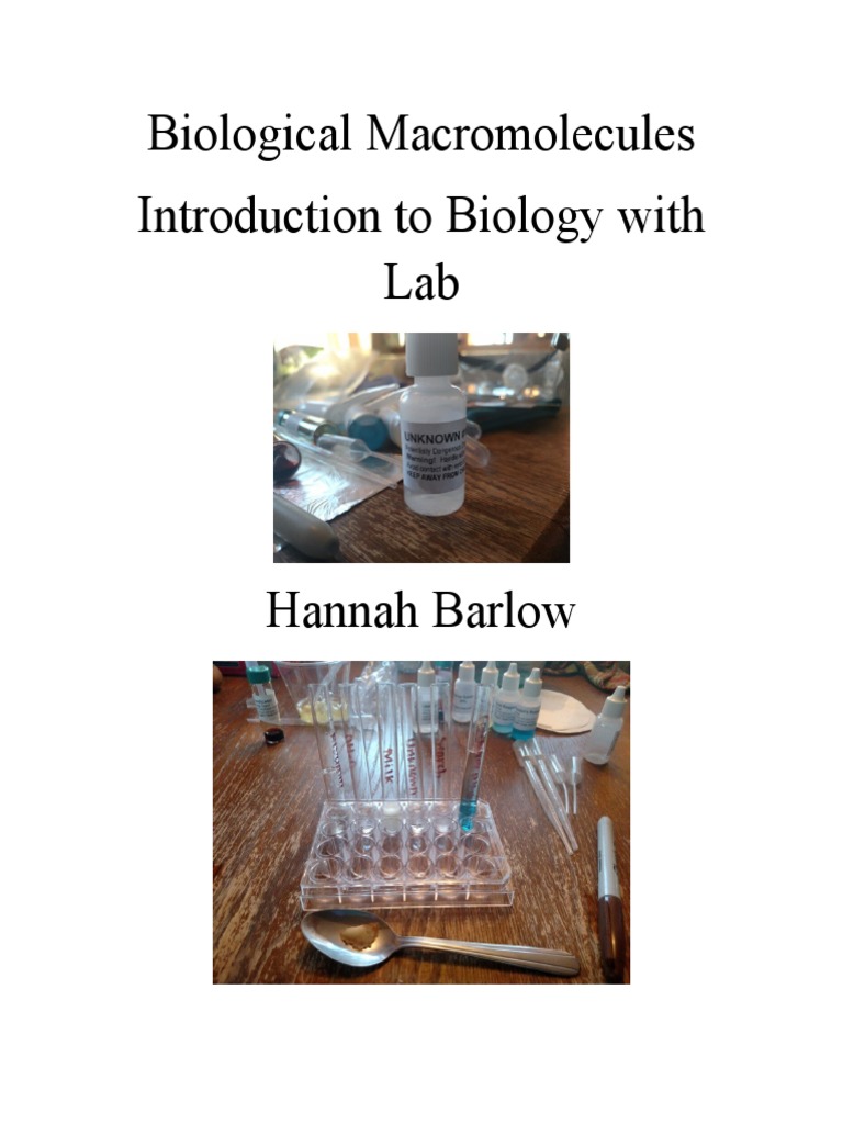 Biological Macromolecules Lab Report | PDF | Macromolecules | Carbohydrates