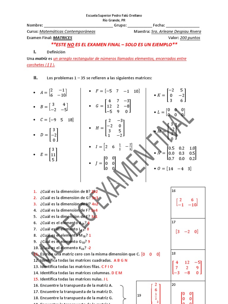 Modelo Examen de Matrices | Relaciones matematicas | Matriz (Matemáticas)