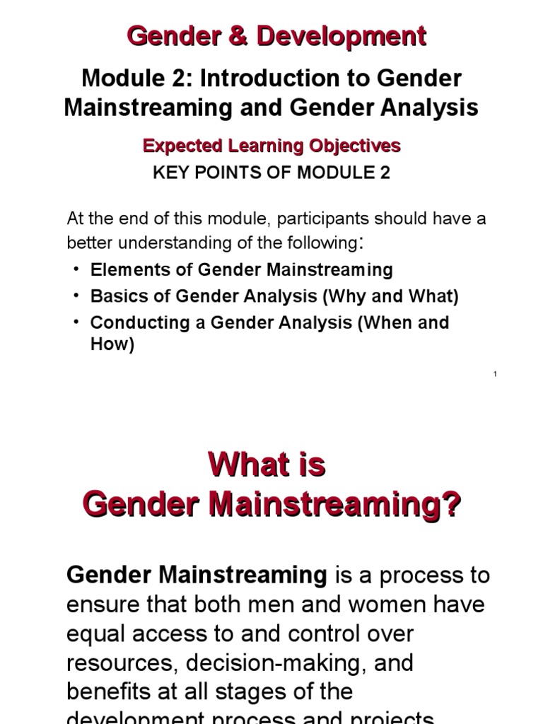 Gender Analysis Ppt1 | PDF | Gender Analysis | Gender Mainstreaming