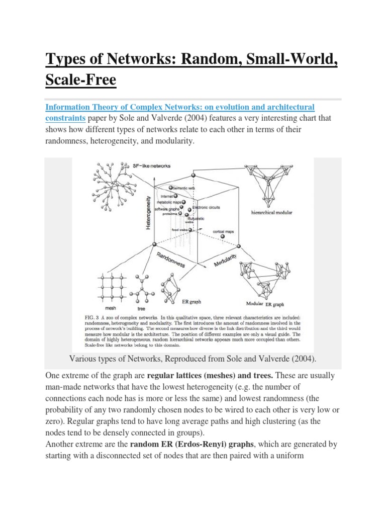 Types of Networks | PDF | Theoretical Computer Science | Mathematical ...