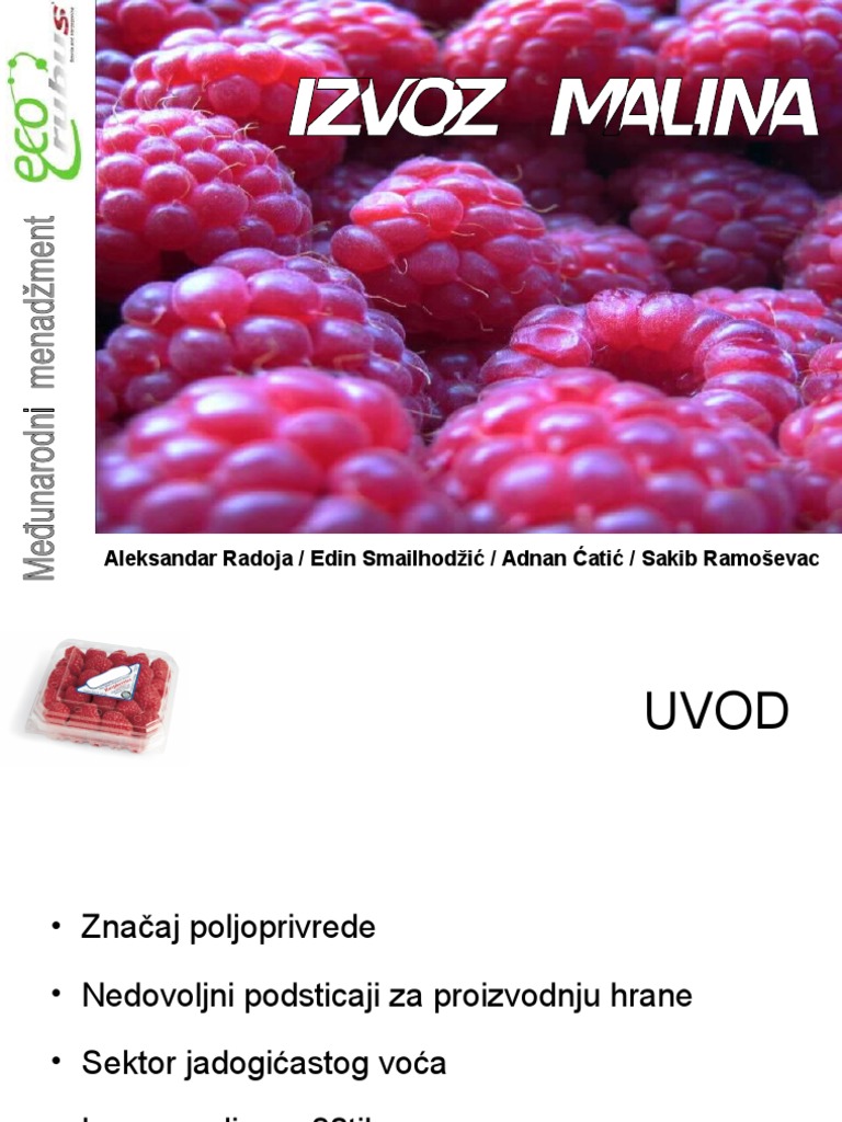 Prezentacija Maline | PDF