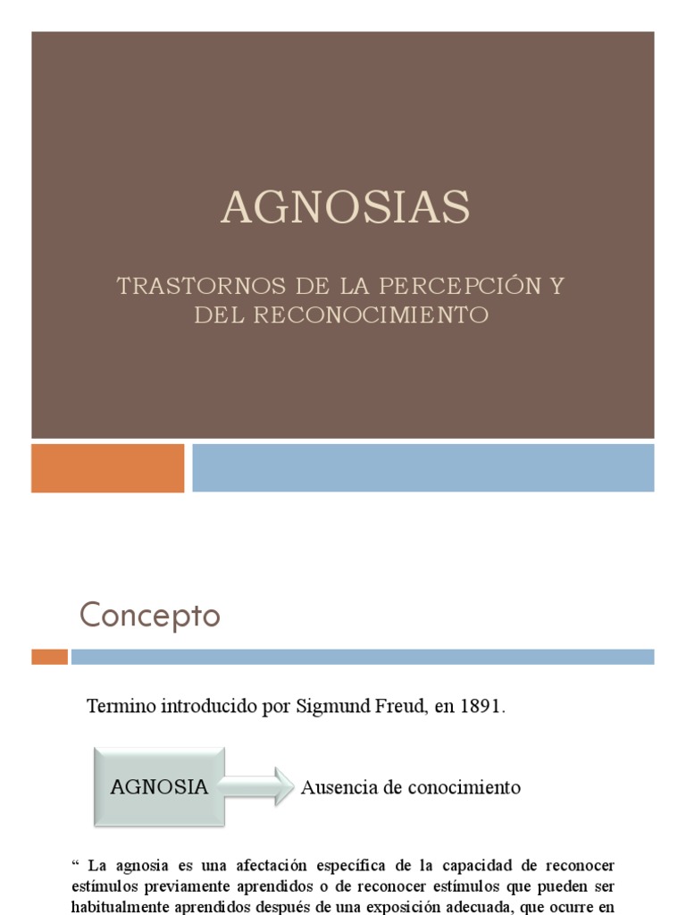 Agnosias Visuales | PDF | Percepción | Sistema nervioso