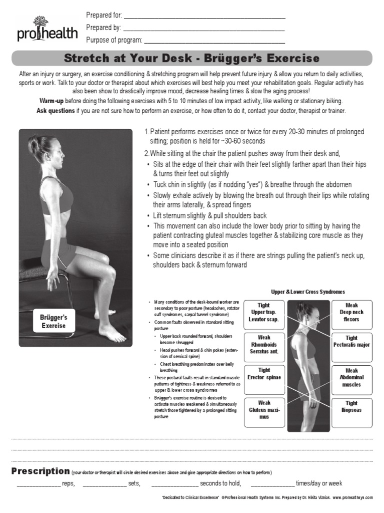 MM SS Bruggers Seated Stretch | PDF | Abdomen | Human Anatomy