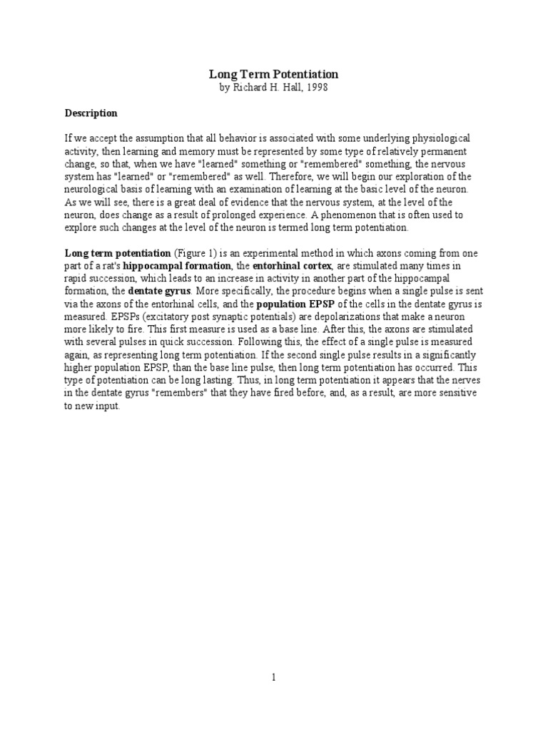 Long Term Potentiation: Description | Download Free PDF | Long Term ...