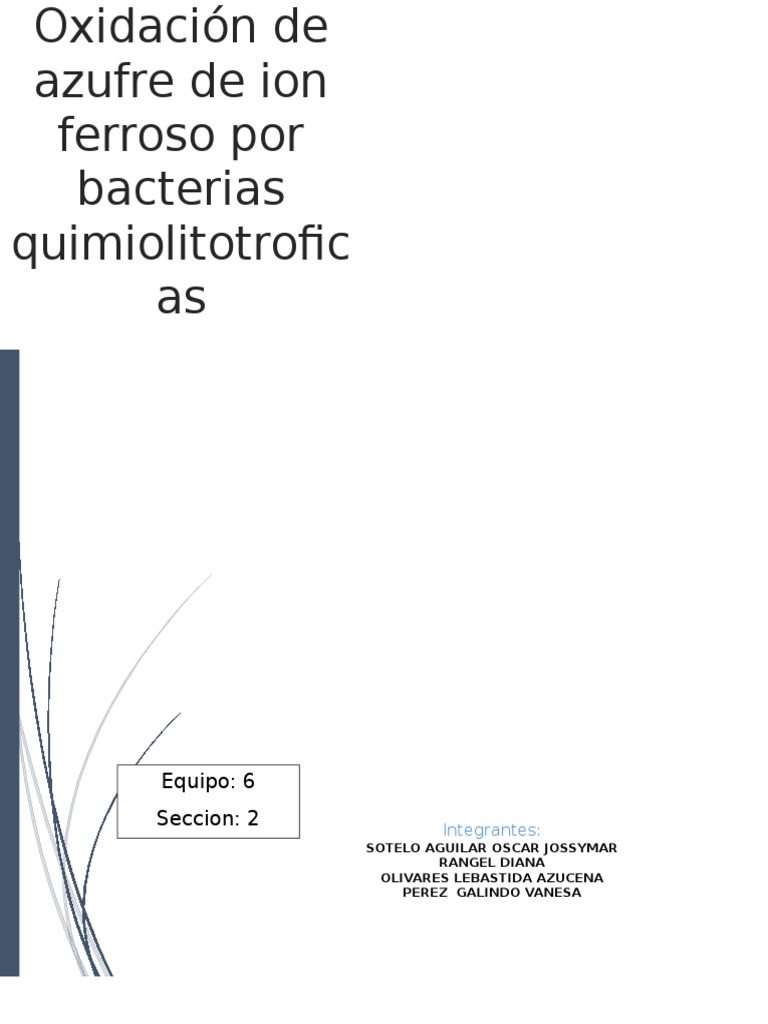 Oxidación de Azufre de Ion Ferroso Por Bacterias Quimiolitotroficas | PDF