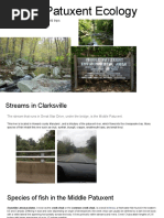 Kentucky Fish Species Guide | PDF | Fish | Aquatic Animals