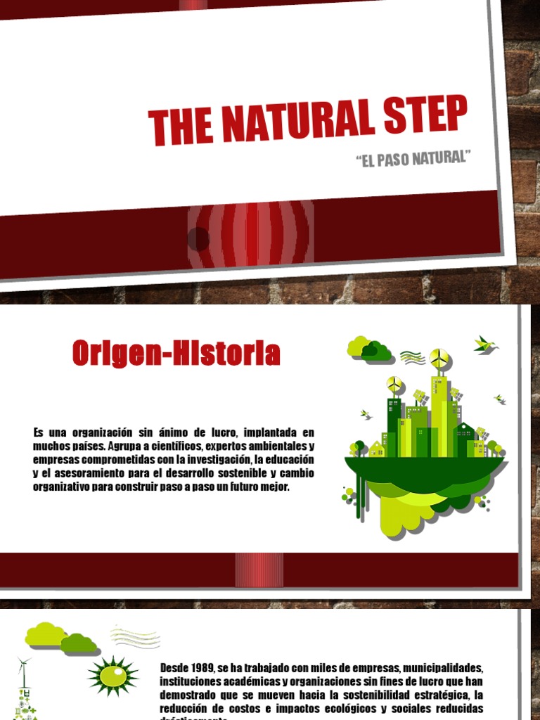 The Natural Step | PDF | Sustentabilidad | Desarrollo sostenible