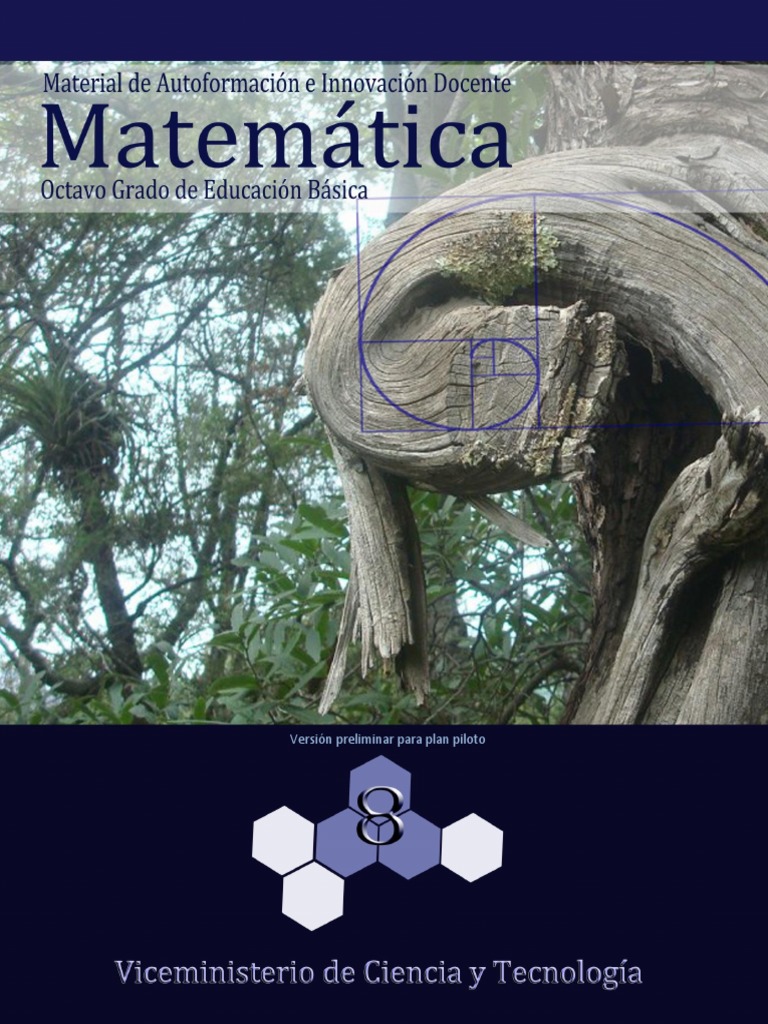 Matematica 8vo Grado | PDF | Fracción (Matemáticas) | Factorización