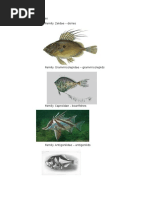 Comprehensive Fish Classification Guide | PDF | Social Science