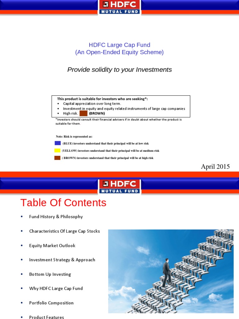 HDFC Large Cap Equity Fund PDF | PDF | Investor | Investing