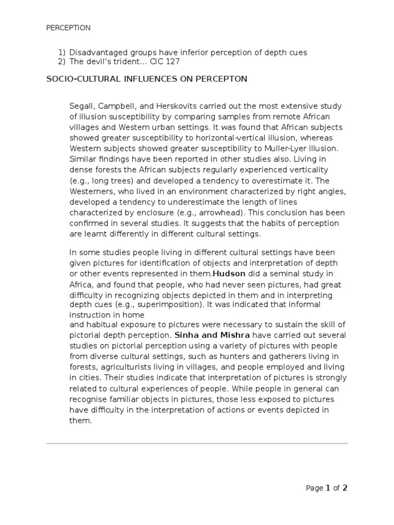Cultural Influences on Perception Illusions | PDF