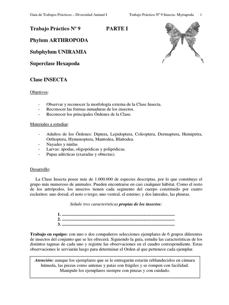 TRABAJO PRACTICO - Insecta y Myriapoda | PDF | Insectos | Protostomas
