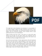 Eagle | PDF