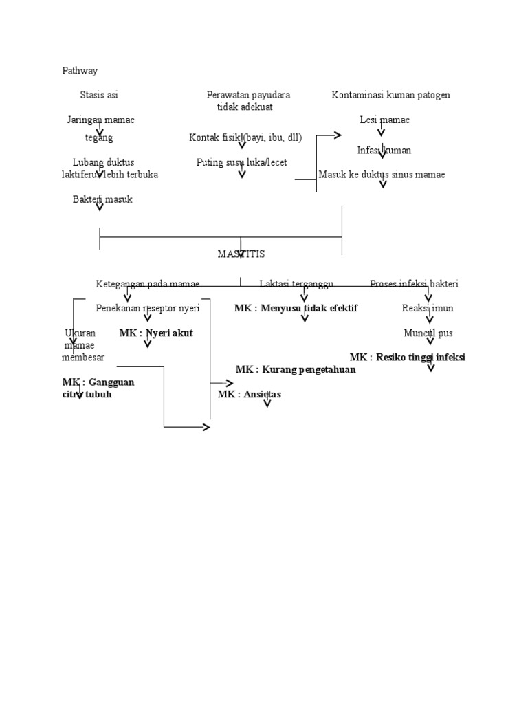Pathway Mastitis | PDF