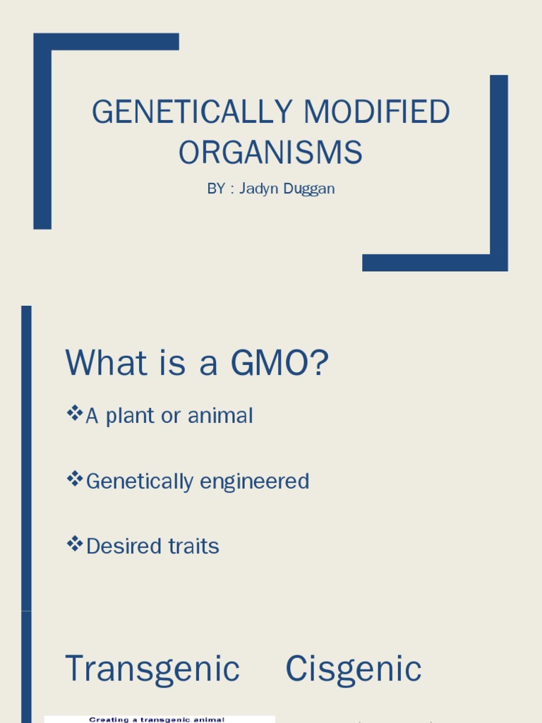 Genetically Modified Organisms | PDF | Wellness