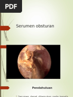 Leaflet Serumen Obsturan | PDF | Griya & Taman