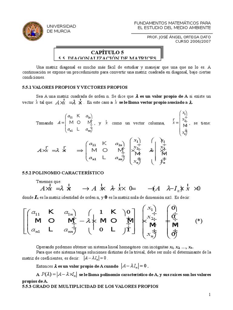 Diagonalización de Matrices | PDF | Valores propios y vectores propios | Matriz (Matemáticas)
