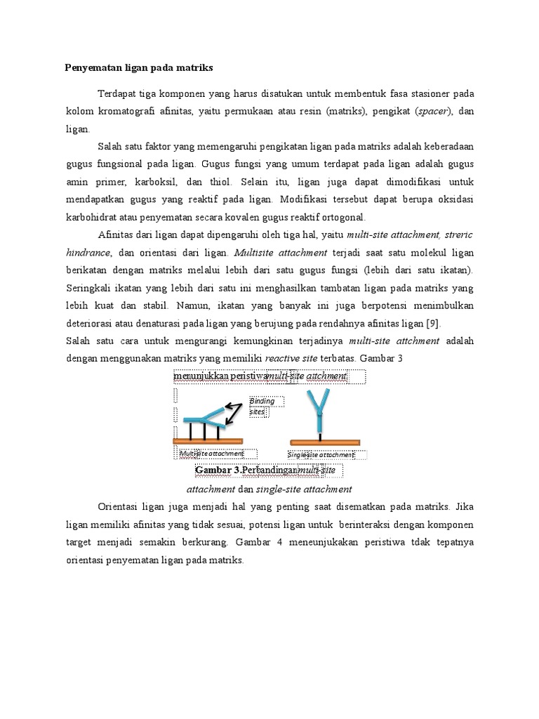 Penyematan Ligan Pada Matriks Pada Kromatografi Afinitas | PDF