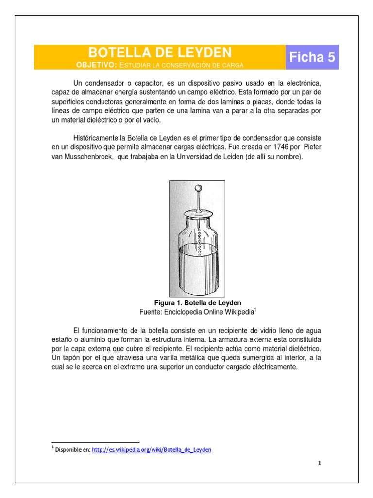 Experiencia 5 Botella de Leyden | PDF | Electromagnetismo | Bienes ...