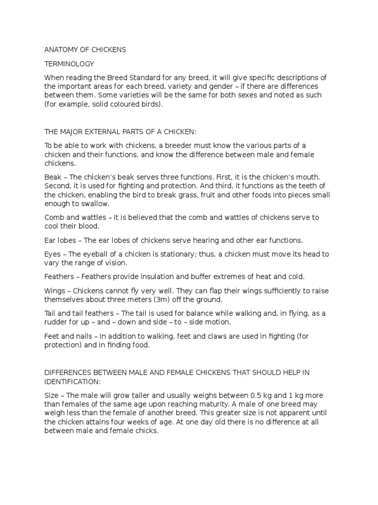 Anatomy of Chickens | PDF | Vertebral Column | Skeleton