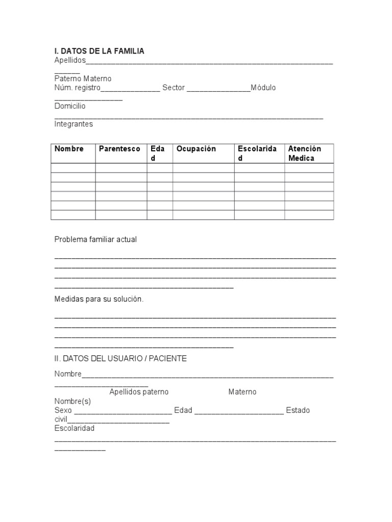 Formulario de Visita Domiciliaria | PDF
