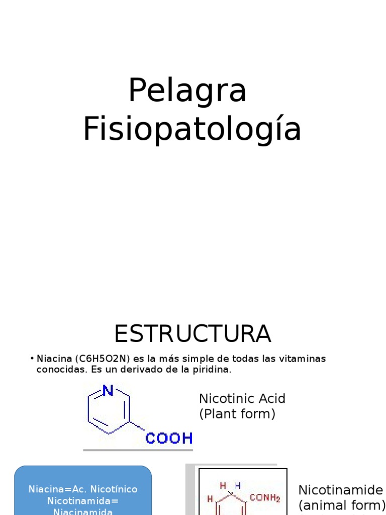 Pelagra Fisiopatologia | PDF