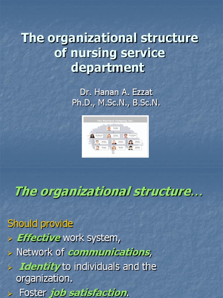 Organizational structure of nursing service departments | PDF ...